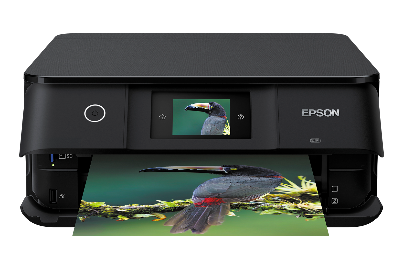 Buy Epson 378XL Squirrel Black High Yield Ink Cartridge 11ml ...